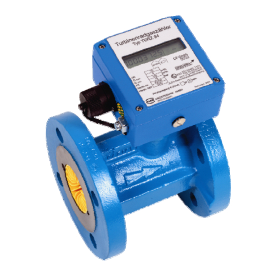 Sicherheitshinweise - RMG TERZ 94 Bedienungsanleitung [Seite 10] | ManualsLib