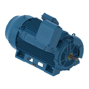 WEG W21 INSTALLATIONS-, BETRIEBS- UND WARTUNGSANLEITUNG Pdf ...